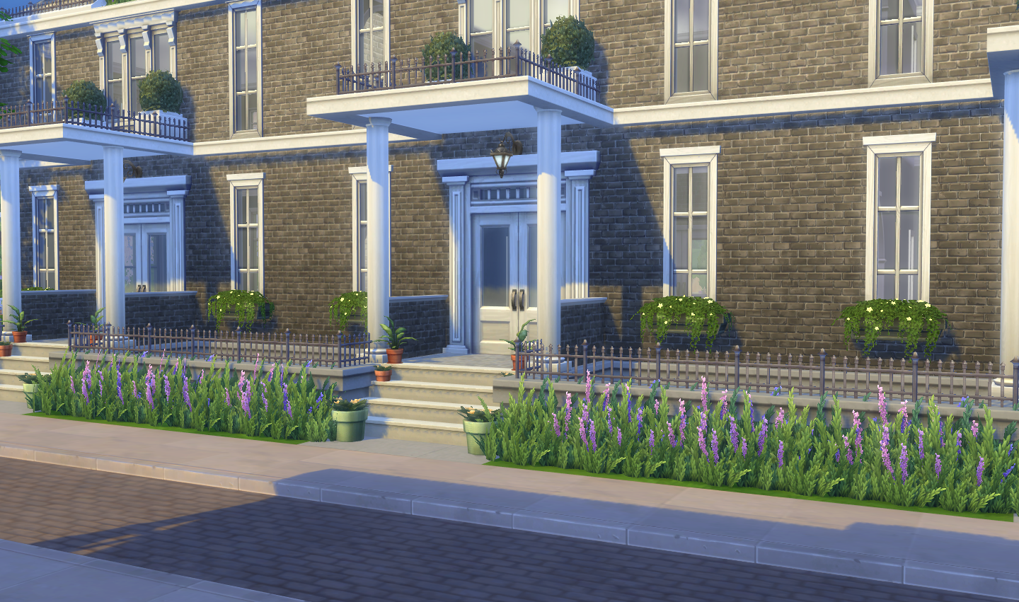 Georgian Townhouses – Bluebellflora